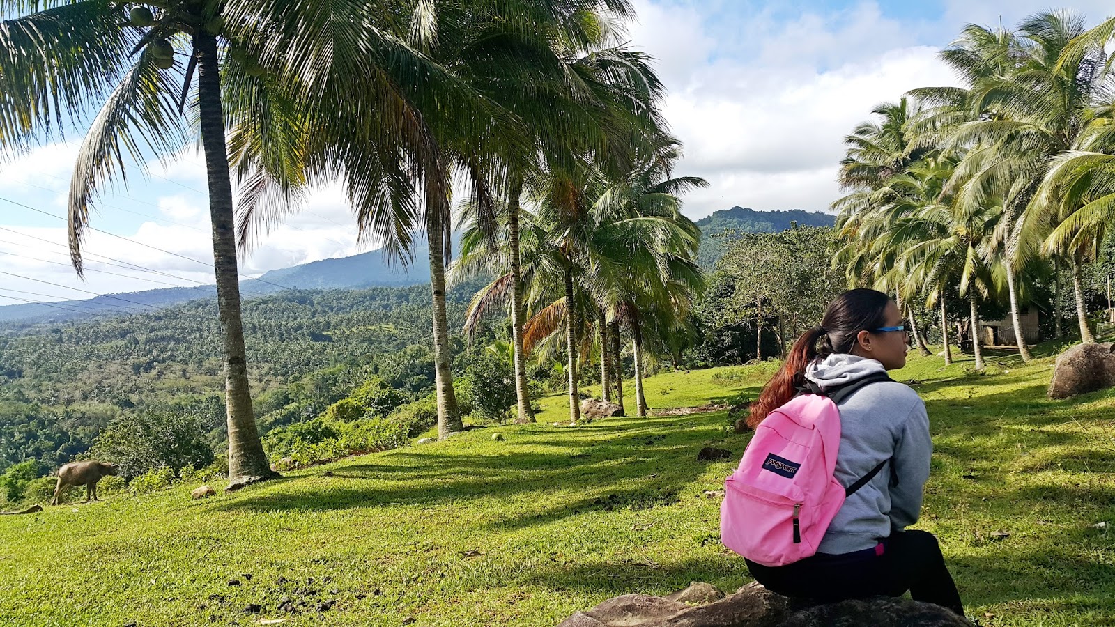 ohmygoggles: Puncak Tanawan: overseeing the city