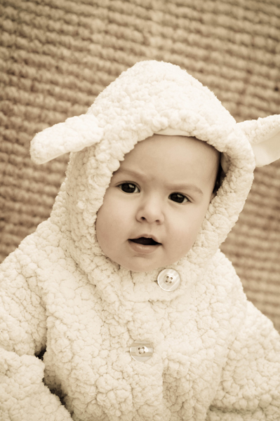 Petite Bebe Photography