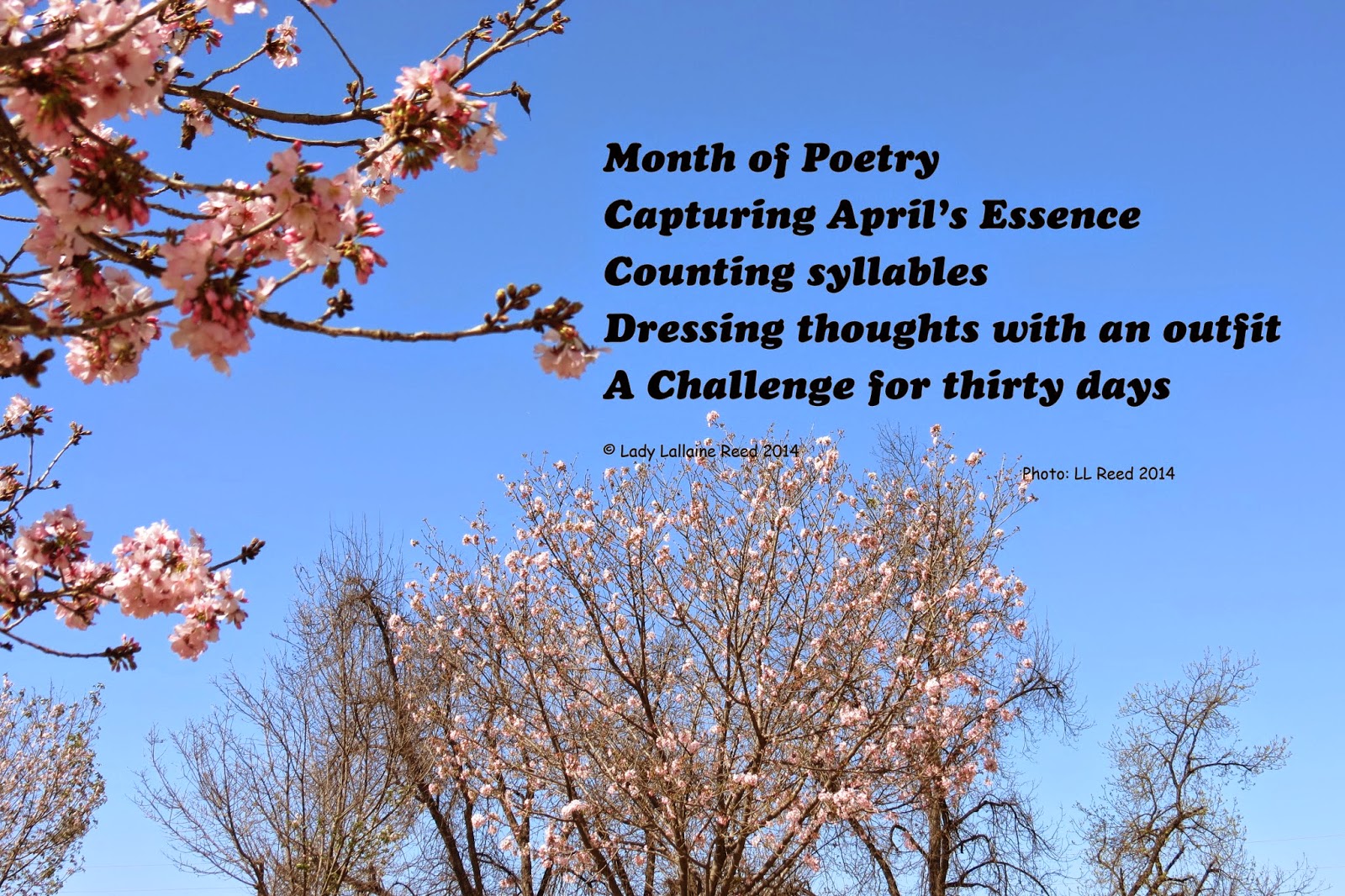 Lady Lallaine Reed's Positive