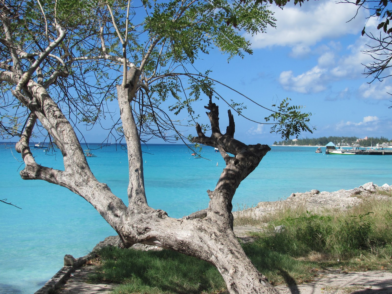 Where to Next??: Beautiful Barbados