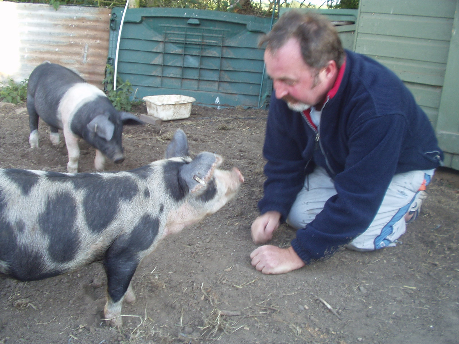 My Brother Andrew: Name the pig and save the pig for MND