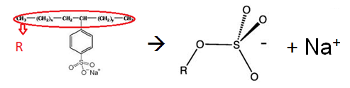 Gen Chemistry 2 Assignment: Soap and Detergents