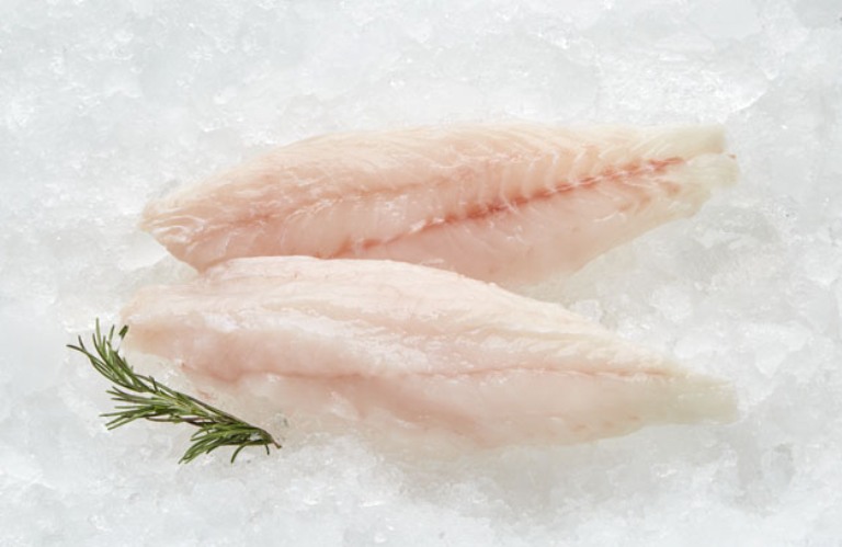Grouper Fillet Supplier, Grouper Fish Manufacturers, Frozen Grouper ...