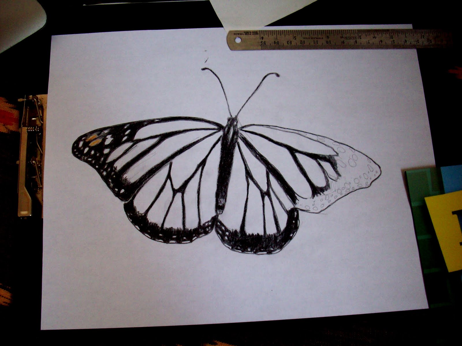 Distorted Symmetry: Order in Chaos: The Making of a Monarch Butterfly