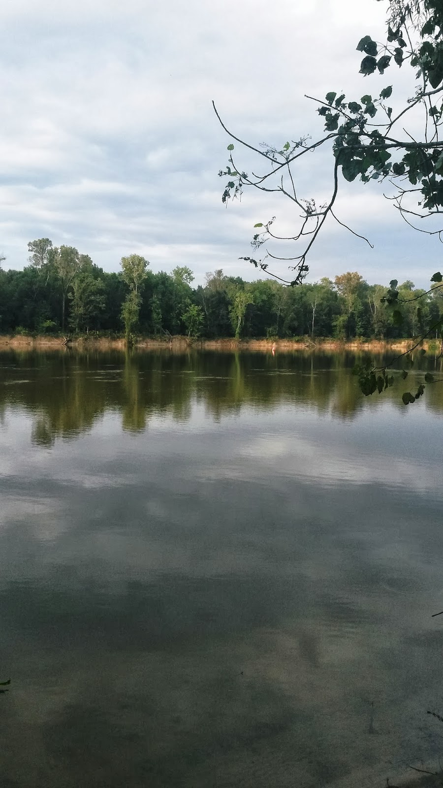 Wandering This Earth: Upper Delta WMA