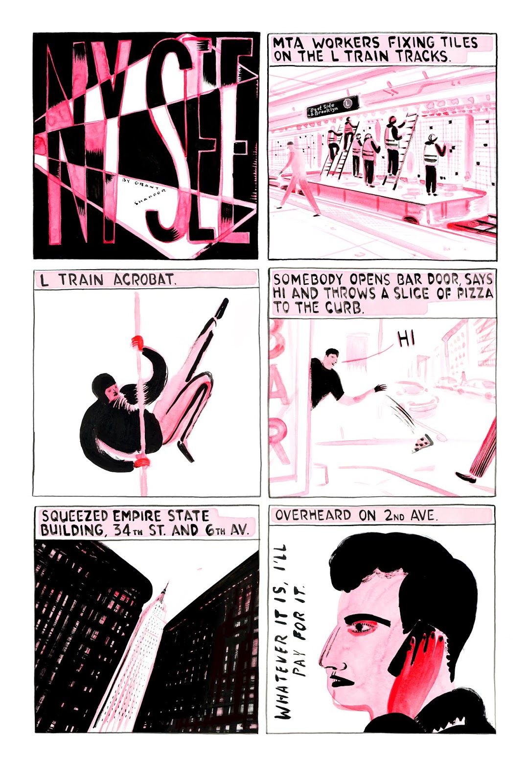 EV Grieve: Grant Shaffer's NY See