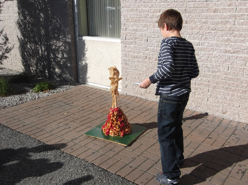 Life with my Joys: First Annual Science Fair