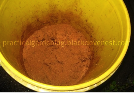 Neighborhood Dirt: EASY HOMEMADE FISH EMULSION FERTILIZER