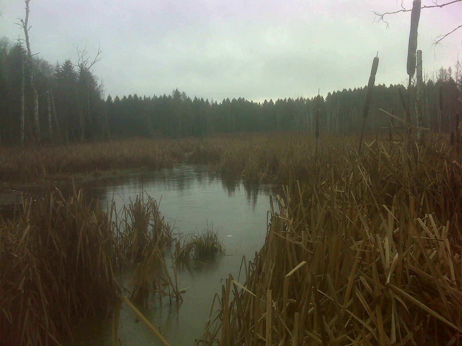 Projekt Gemeindewandern Schweiz: Wanderung Pont - La Verrerie
