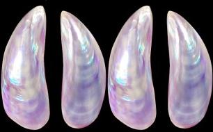 Pinoy - Negosyo - Techs: Beading Jewelry as a Home Based Business