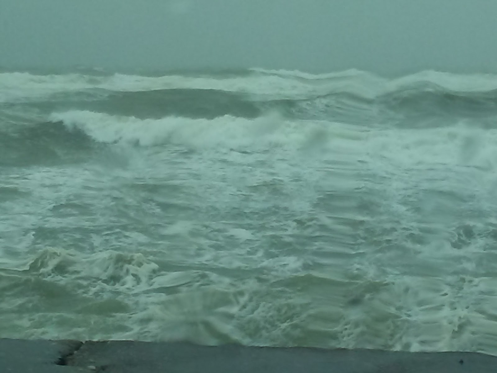 Cranberry County Magazine: Brant Rock Jose Surf