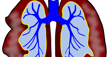 Cosas de Jorge: Atroaldo