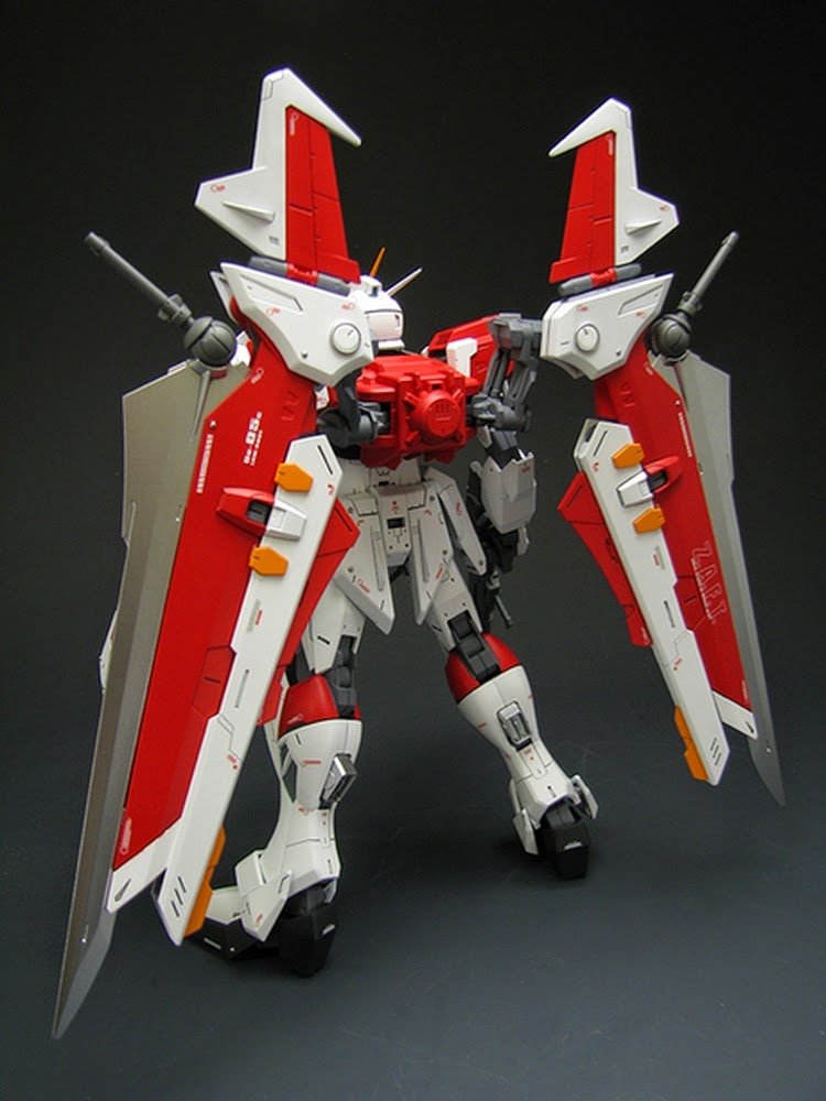 Custom Build: 1/100 Noir (Sword) Impulse