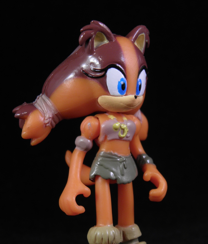 She's Fantastic: Sonic the Hedgehog - Sonic Boom STICKS!
