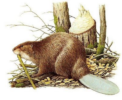 José Villarroel Capacitación y Desarrollo Gerencial: El Estilo del ...