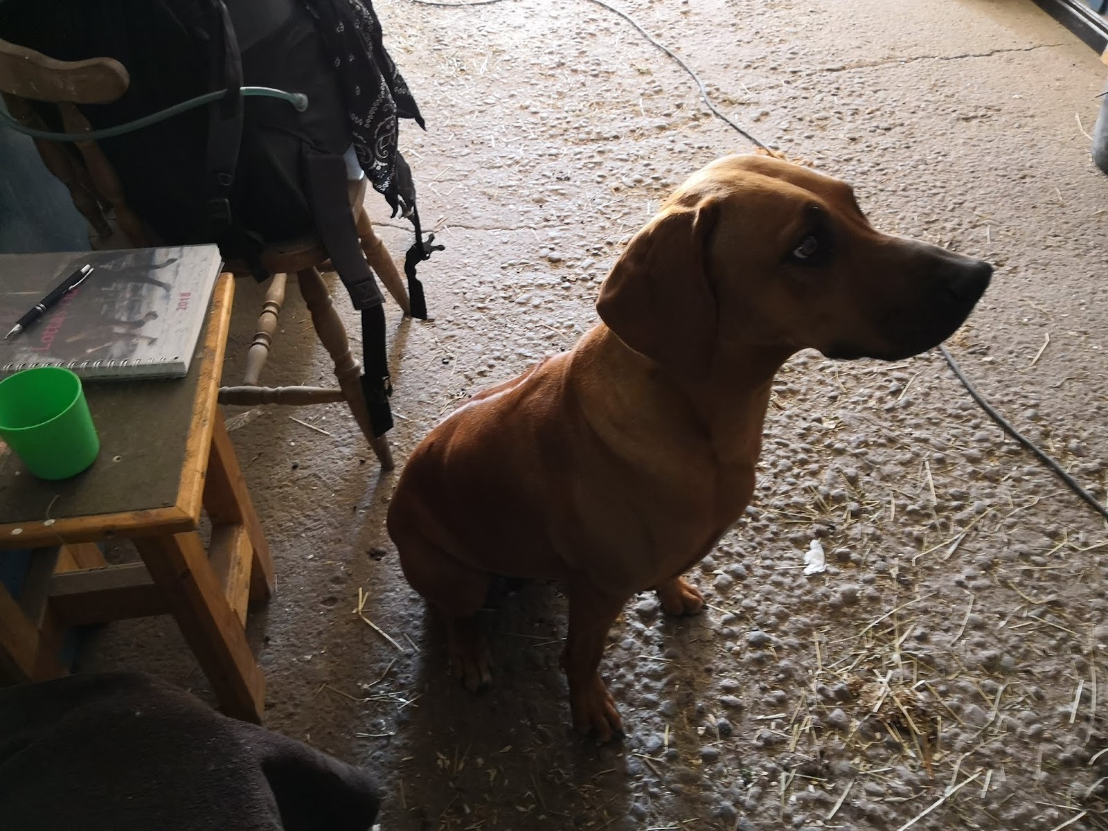 THE BIG TRIP ... an outdoor life hiking, cycling and paddling: Northern ...