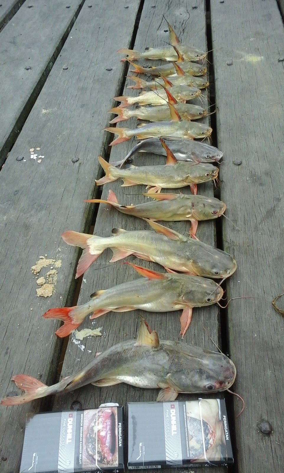 Mancing Mania Samarinda