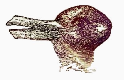 DLSA-ASMEDIA-2015: Representation Introduction