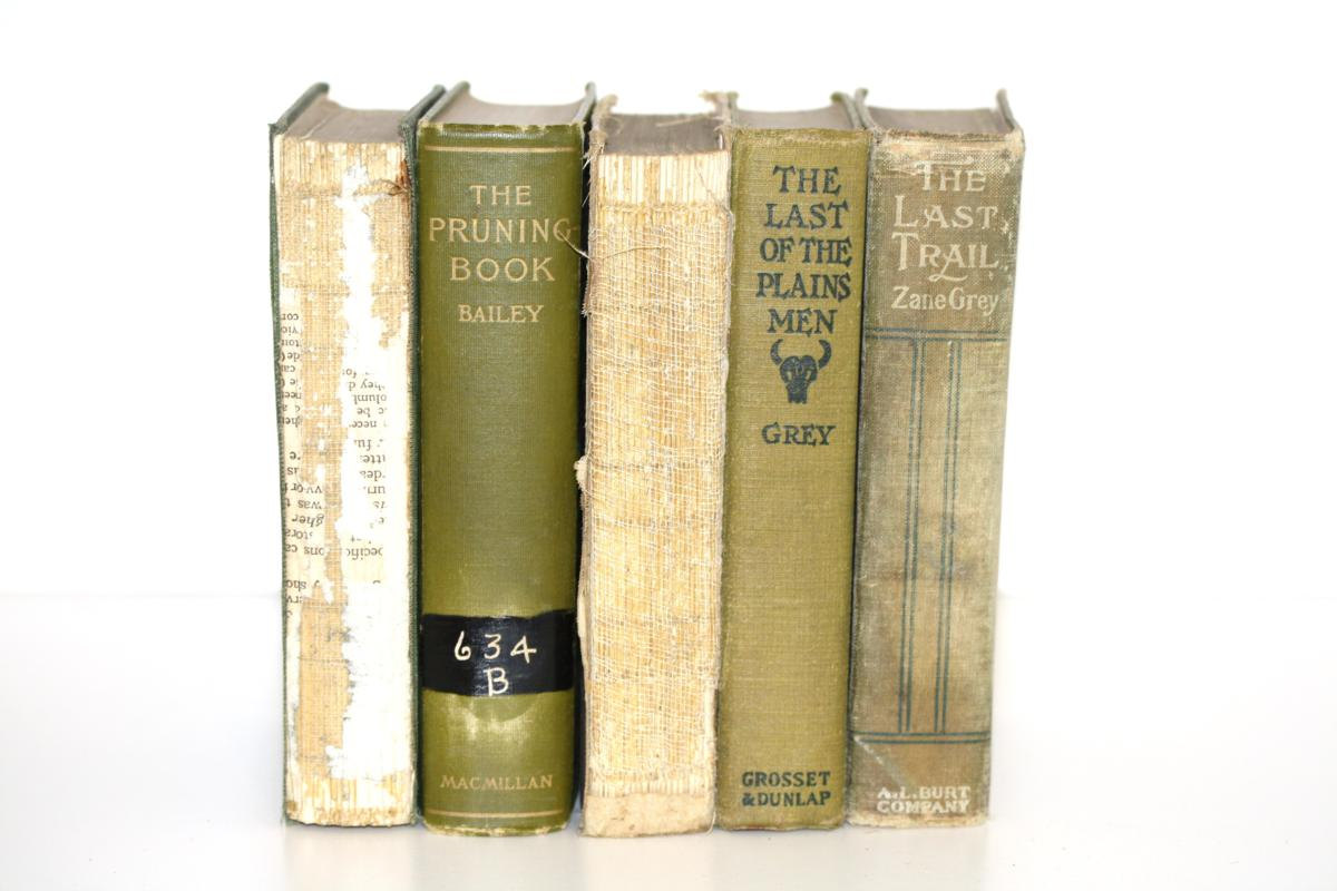 STORYWRAPS: Vintage Book Review - The first American picture book that ...