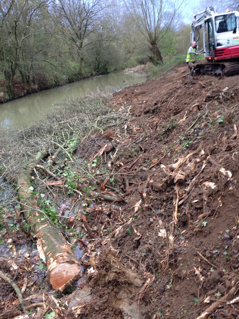 Nature in the Heart of England: Spiceball Park, Banbury: re-wilding the ...