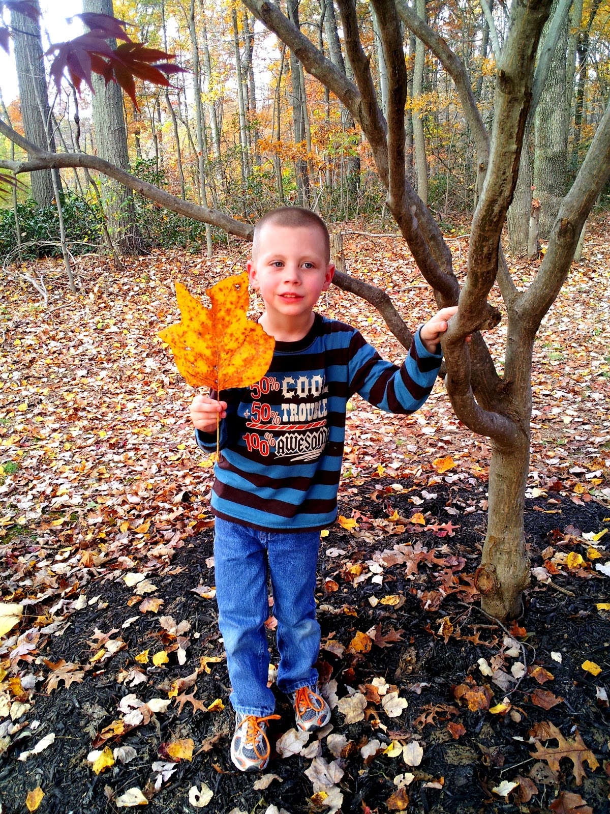 Wordless Wednesday - Fall Walk