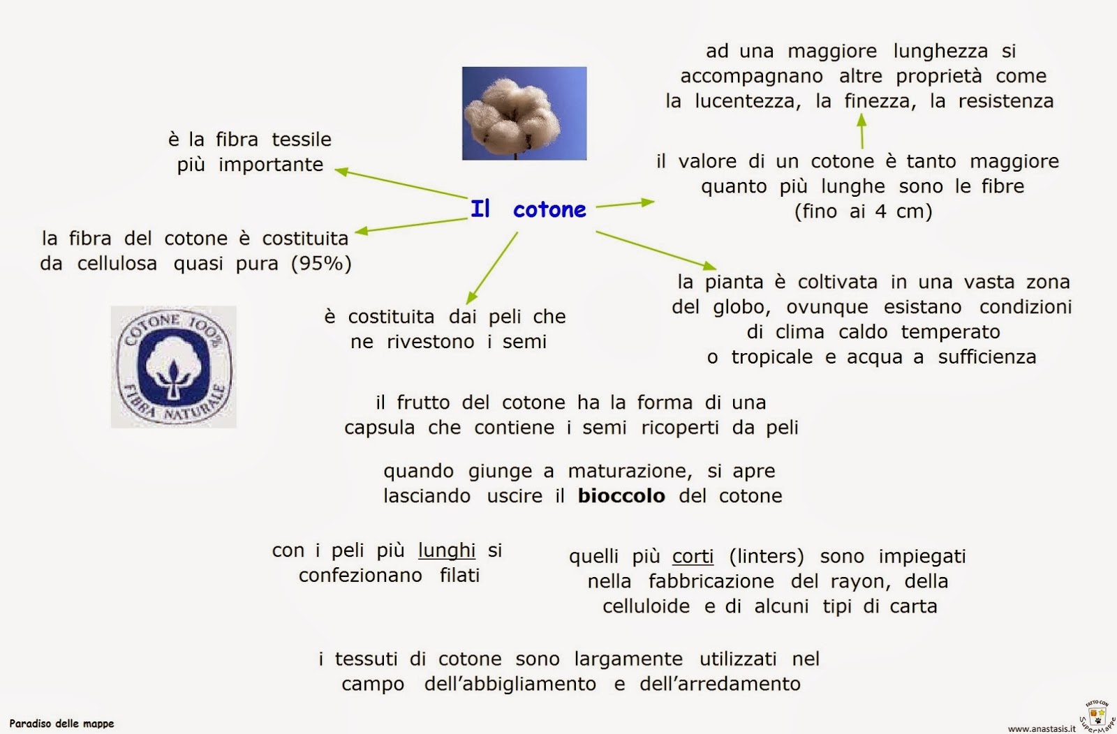 Paradiso delle mappe: Le fibre tessili: Il cotone