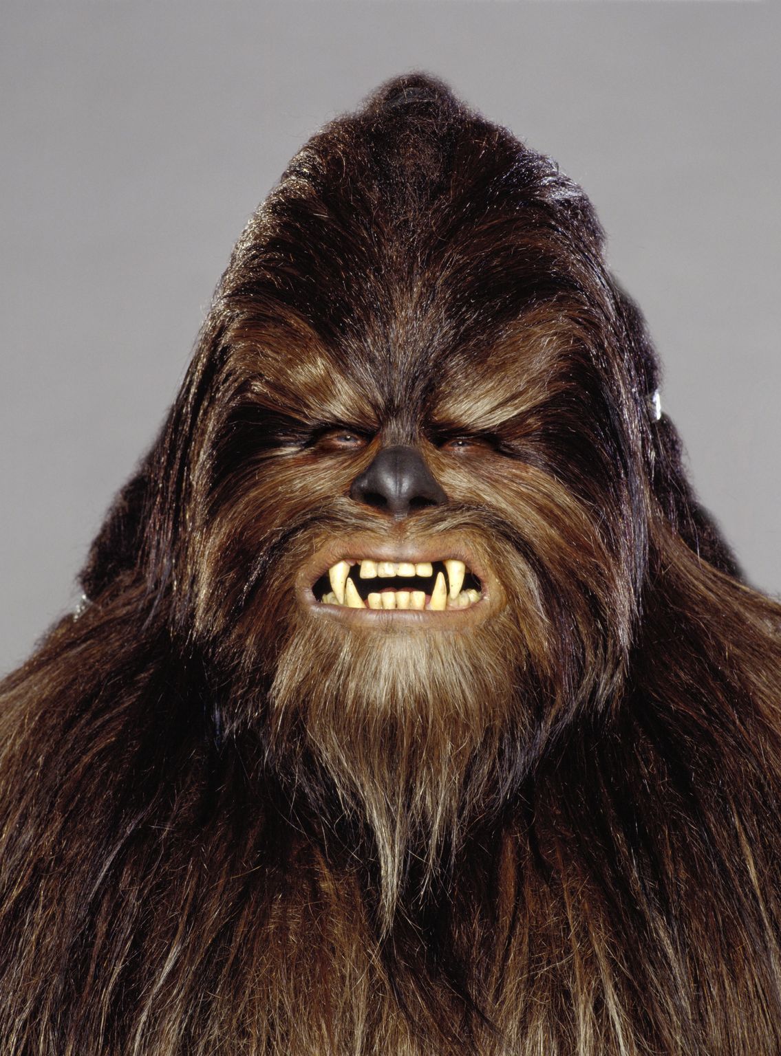 MIS ARCHIVOS DE STAR WARS: La Venganza de los Sith. Wookiee Warriors.