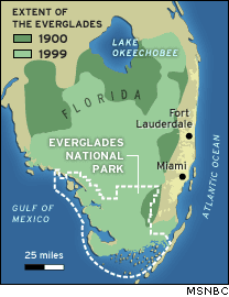 Florida Everglades Ecosystem: Ecosystem Description