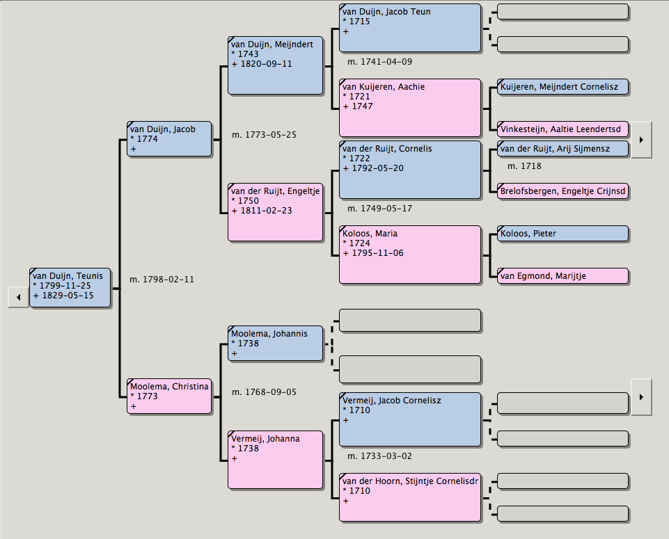 Pedigree Charts (Family Tree) for Antonia van Duijn (1838), Teunis van ...