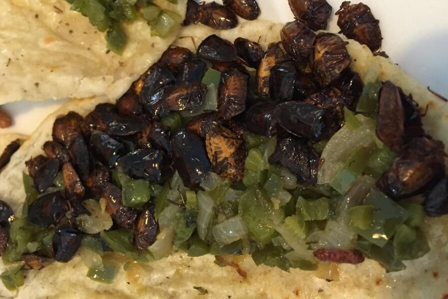 Tacos de origen prehispánico - Historia y sabor