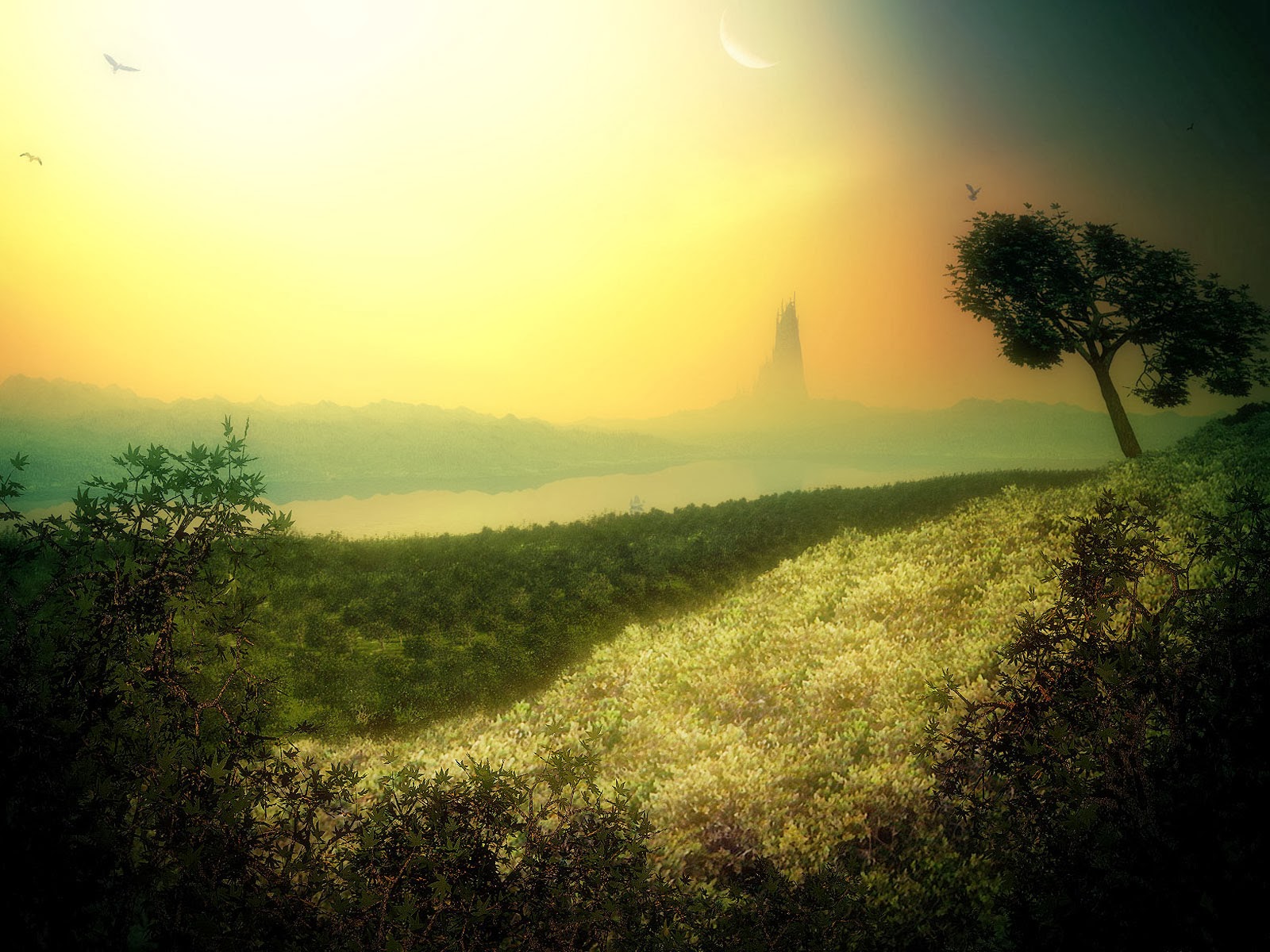 wallpapers For Desktop: HD Alternative wallpapers