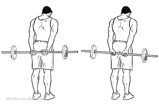 How I Get Huge and Muscular Forearm in 28 Days | Science Explained ...