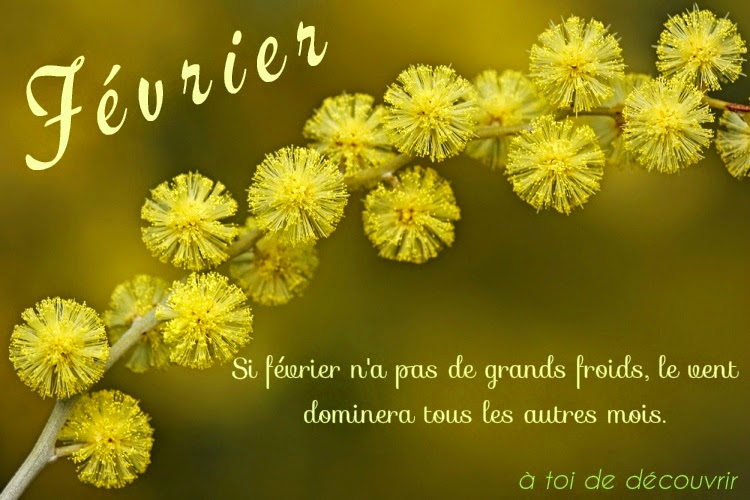 Février est là...
