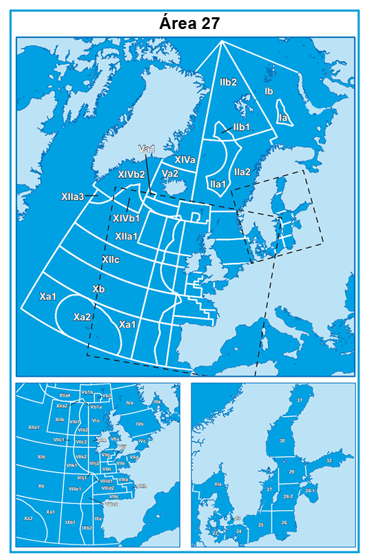 ¿Sabes comprar pescado? - Gominolas de petróleo