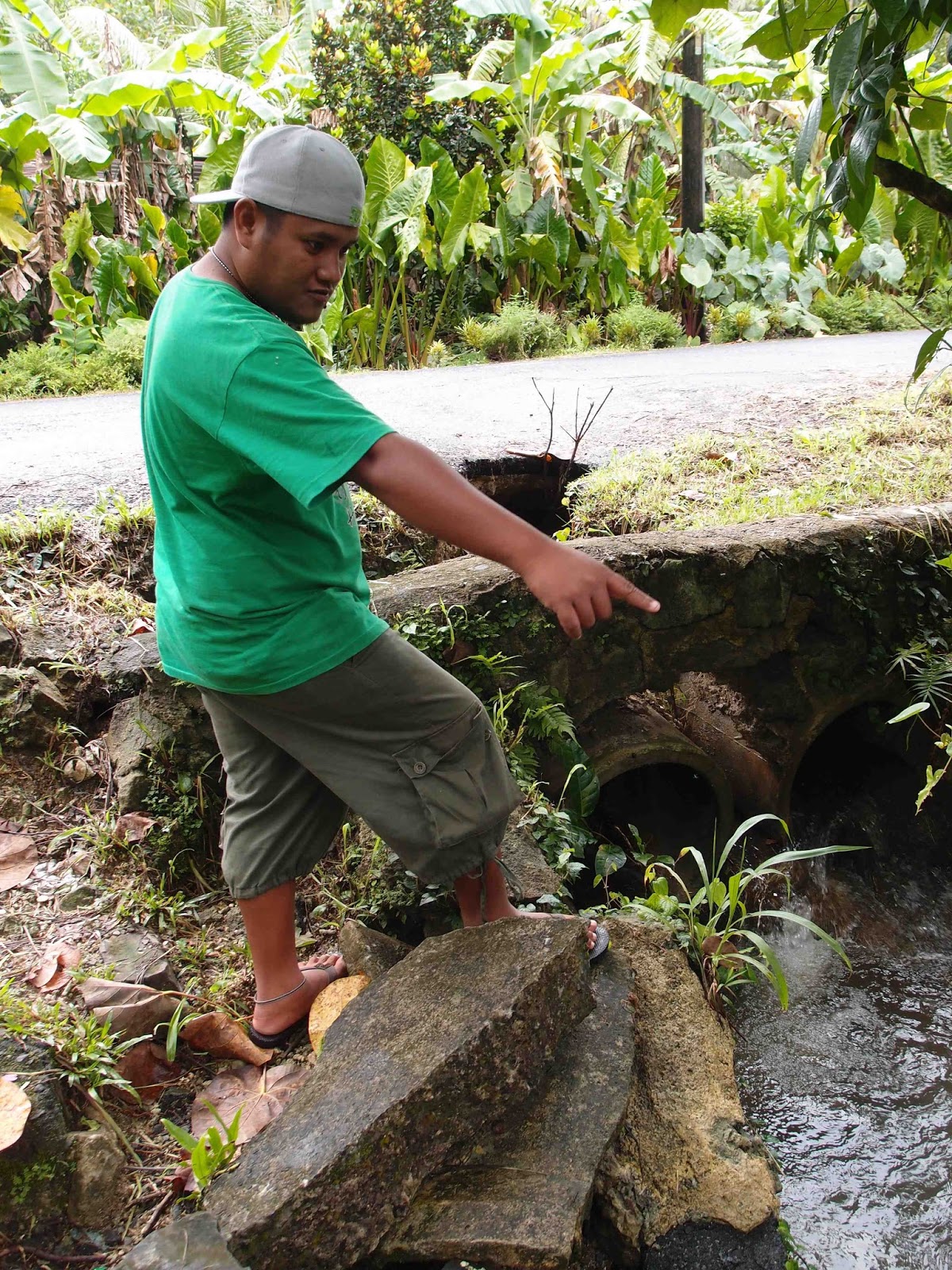 A Merman in Pohnpei: 54: Eels and July 4