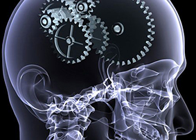 Le Cerveau de l'Enfant et de l'Adolescent: Hyperthymésie – La Mémoire ...