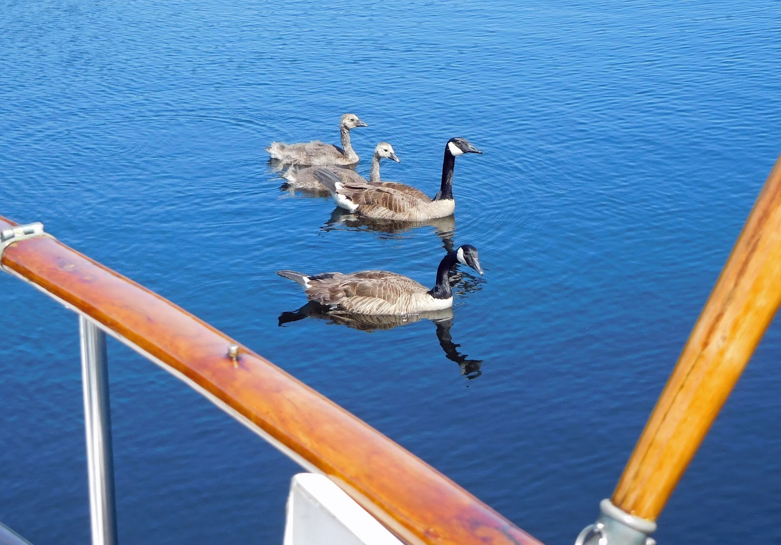 Georgian Bay - Bone Island - NEW TOURISM OBJECTIVES