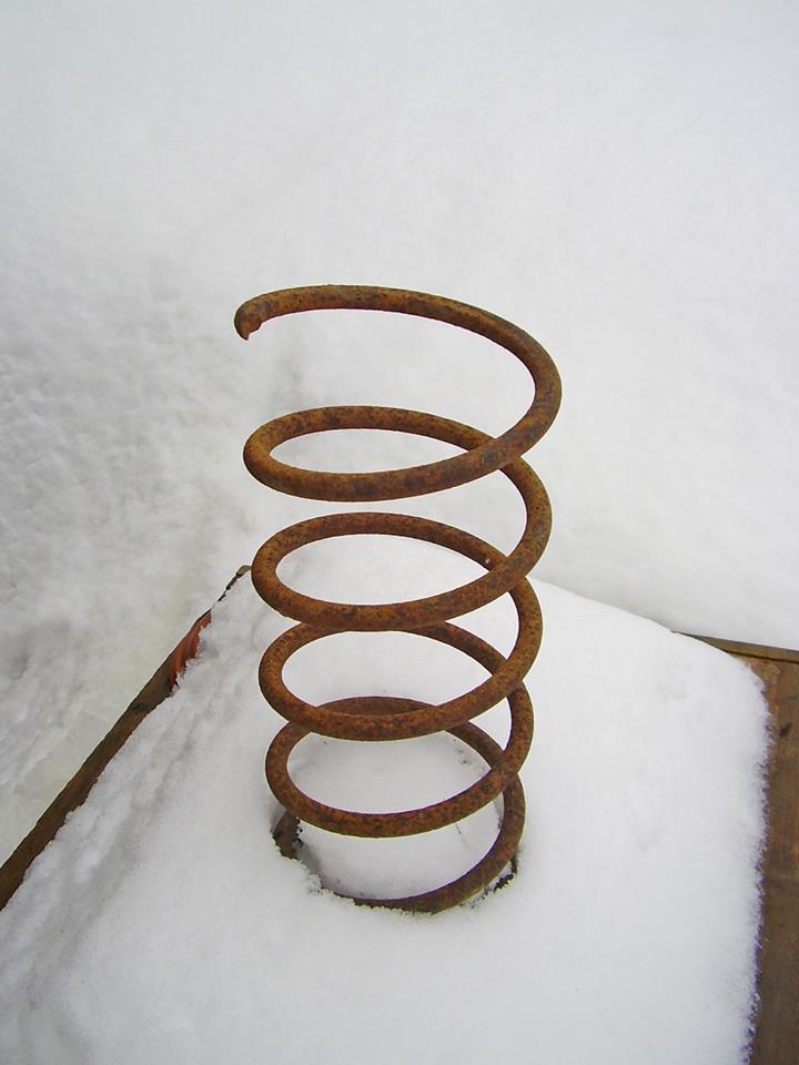 Mypinkturtle: Boing ! Boing ! BOING ! Happy SPRING