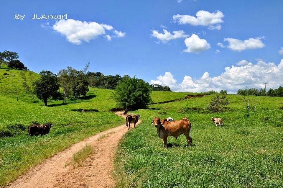 Imagens Rurais: Paisagens Rurais 6