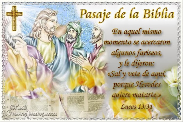 Vidas Santas: Santo Evangelio según san Lucas 13:31