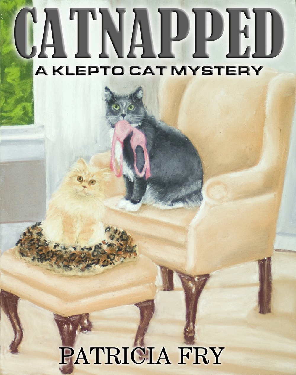Melissa's Mochas, Mysteries and Meows: Review: Catnapped (A Klepto Cat ...