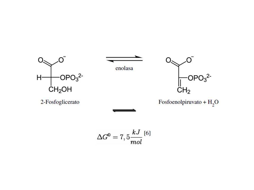 Enseñanza de la Bioquímica mediante técnicas de enseñanza virtual: La ...