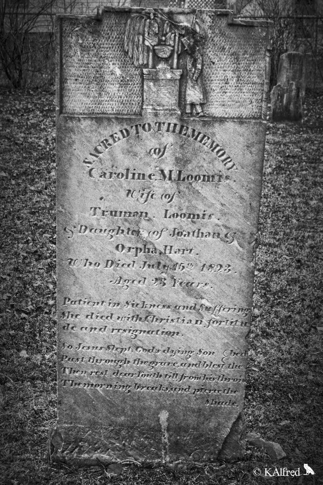 Through the Cemetery Gates ancestory genealogy memorial photography ...