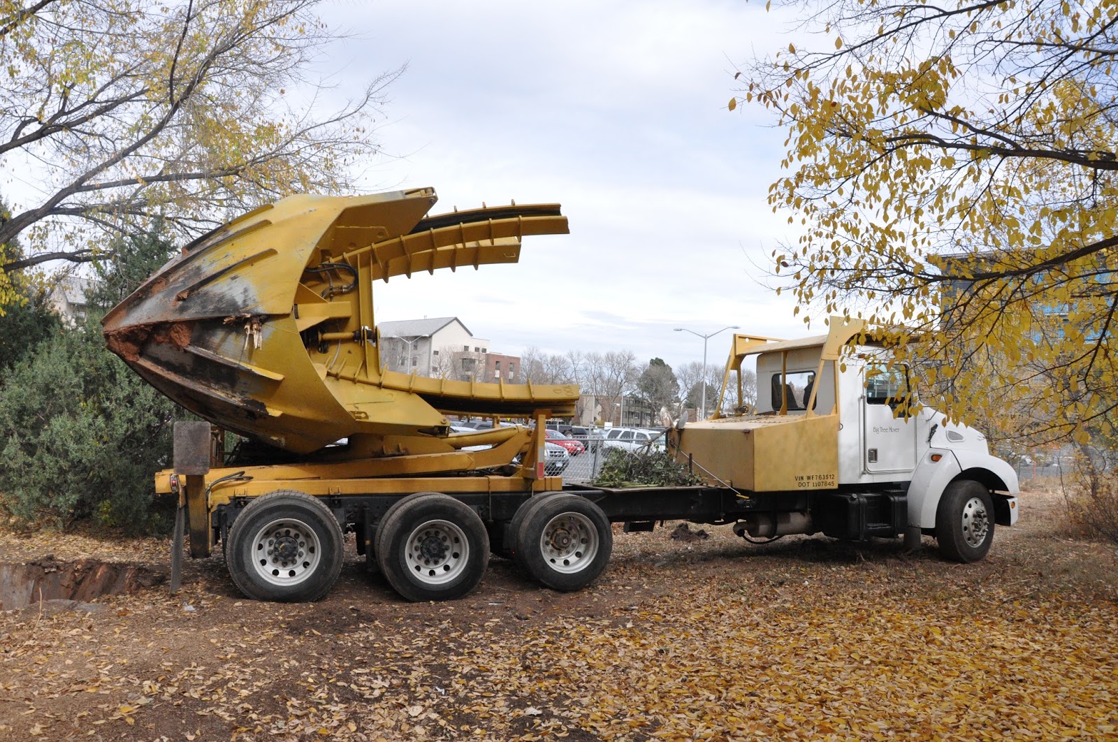 CO-Horts: Moving Large Trees at the Plant Environmental Research Center.