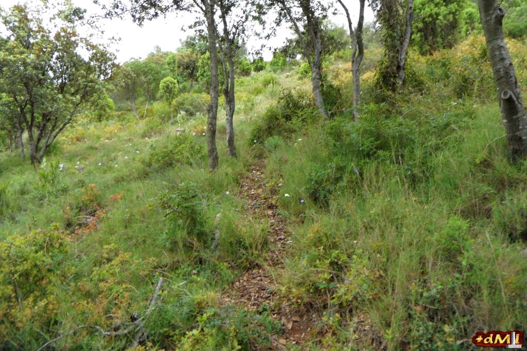 0249 - Vértices Geodésicos C.V.: Mola y Cueva de la Mola /A+ 583 m / 12 ...