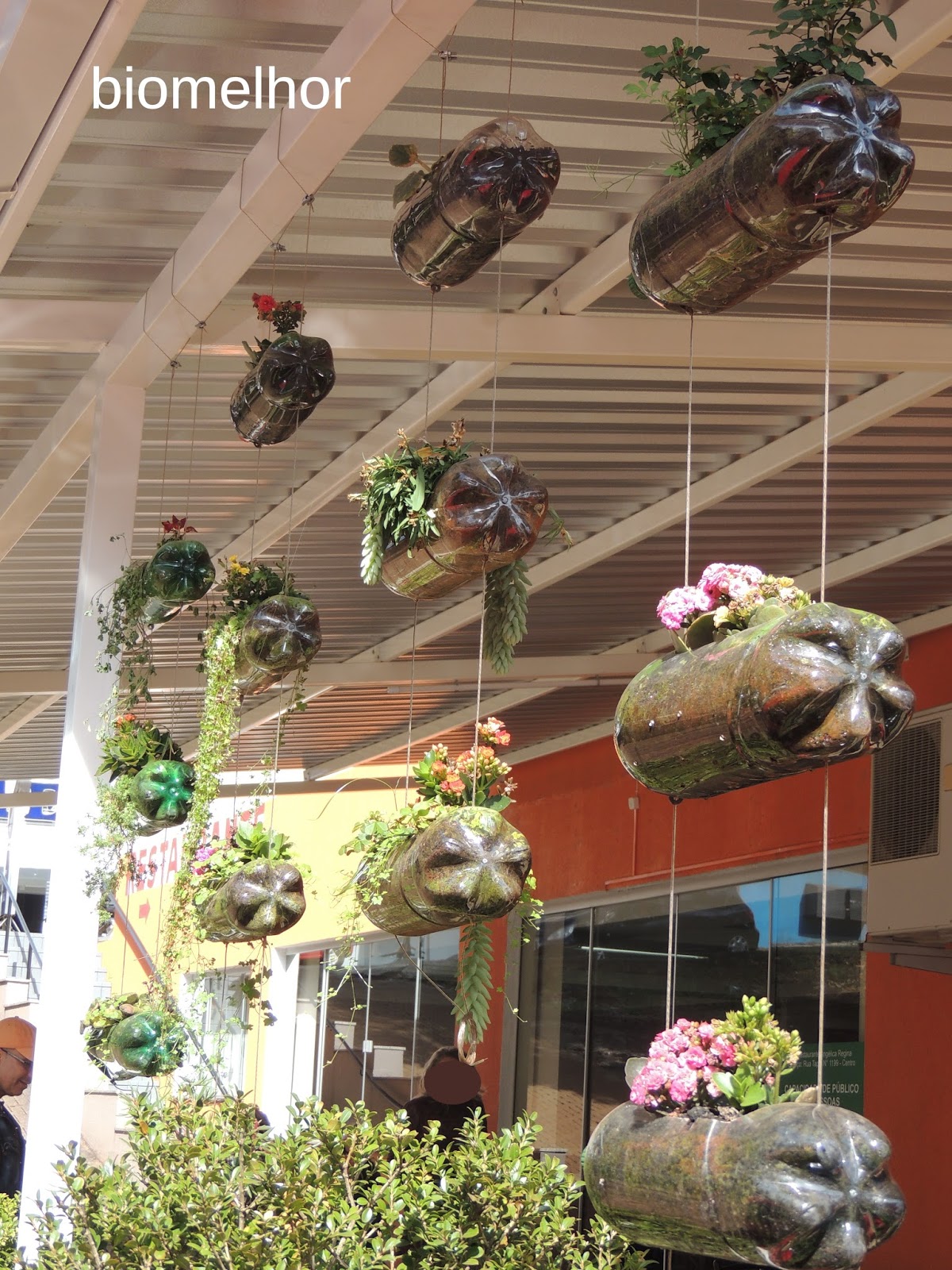 cativartee: Plantas cultivadas verticalmente