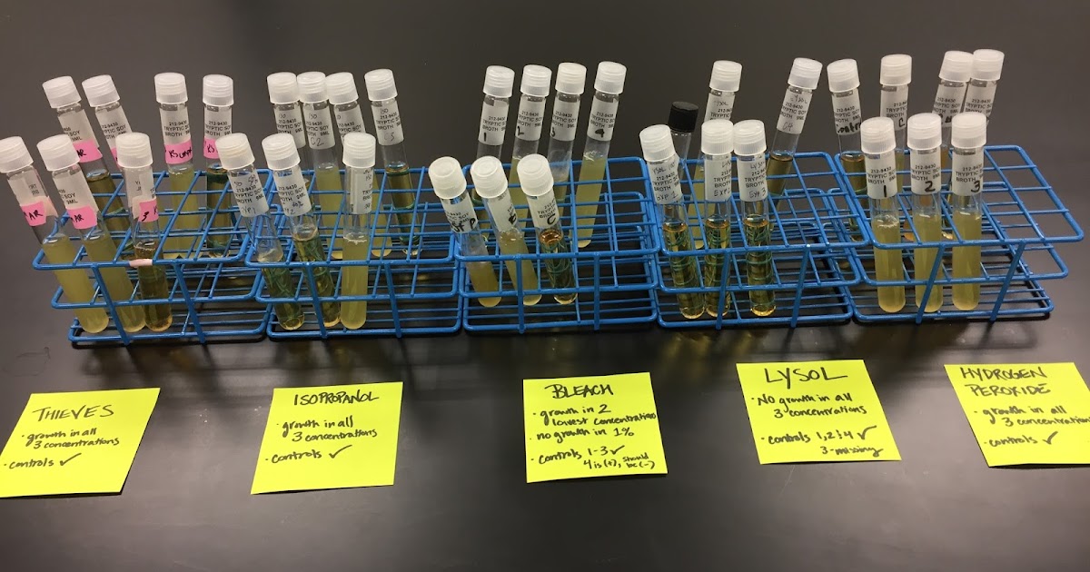 Theory & Practice: from Lab to Lifestyle: Testing Germicides ...