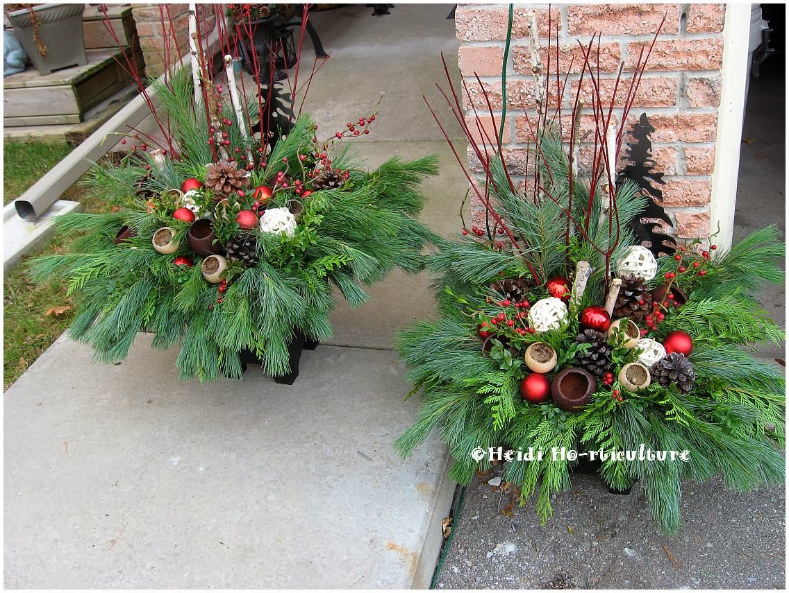 Heidi Horticulture: Christmas Outdoor Container - How To DIY