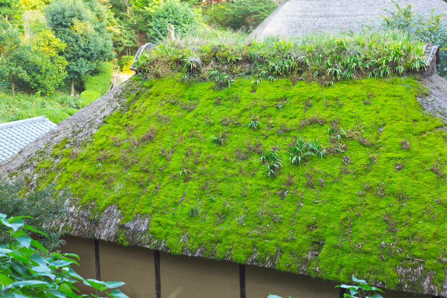 Старые японские дома - Yulia Lisitsa