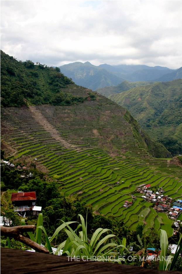 Solo Trekking to Batad Rice Terraces – The Plight of the Frugal ...